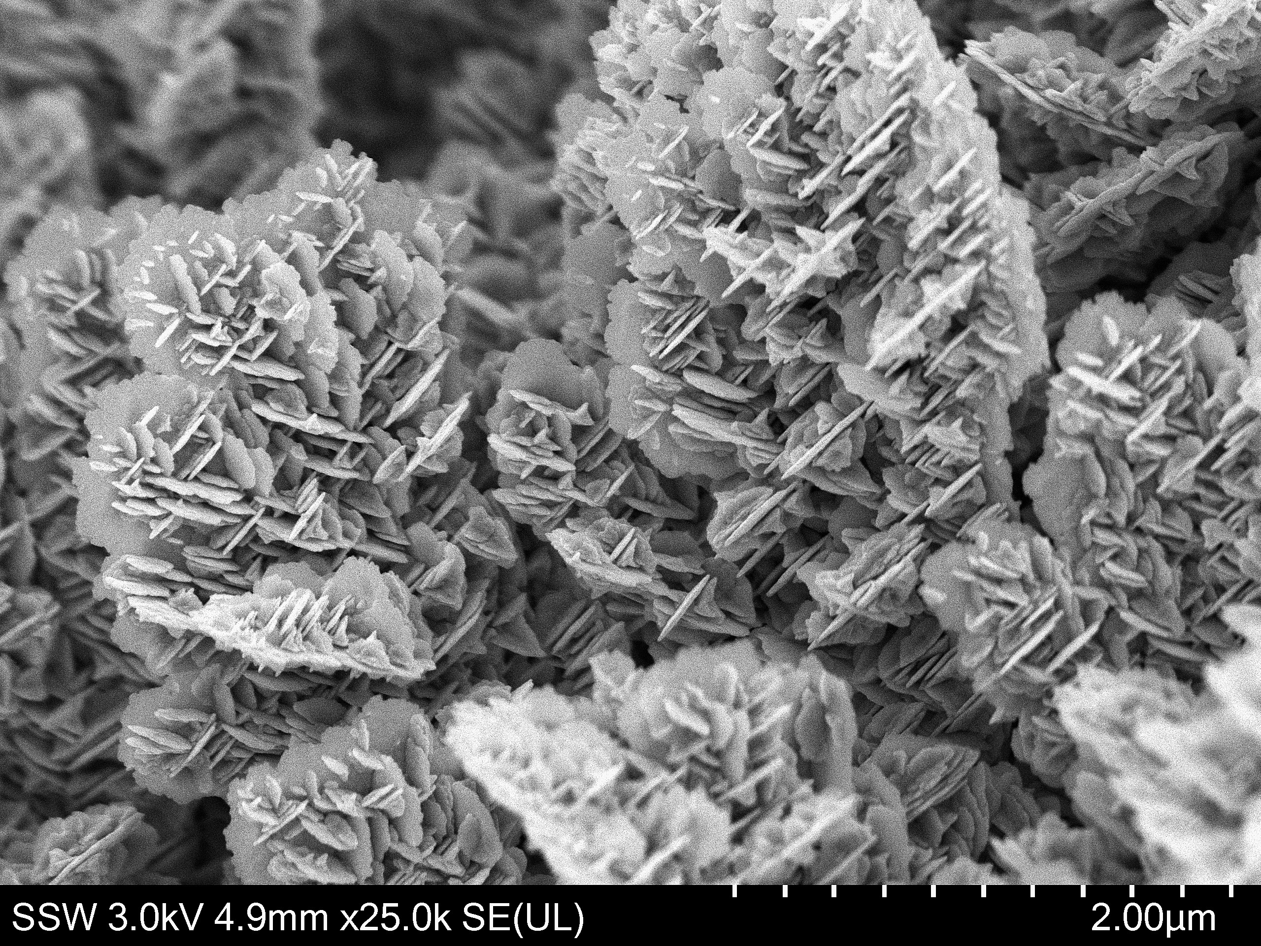 B1_0004 - Surface Science Western