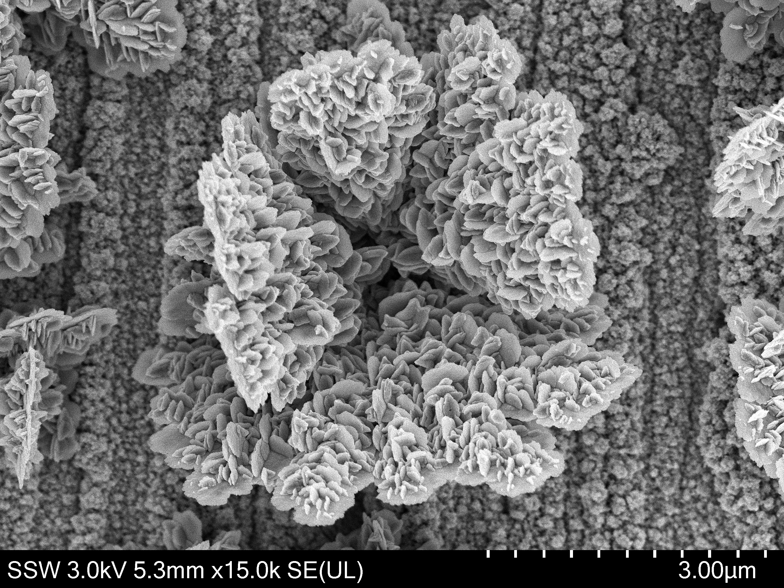 B2_0006 - Surface Science Western