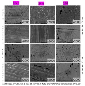 Presentation1-1 - Surface Science Western