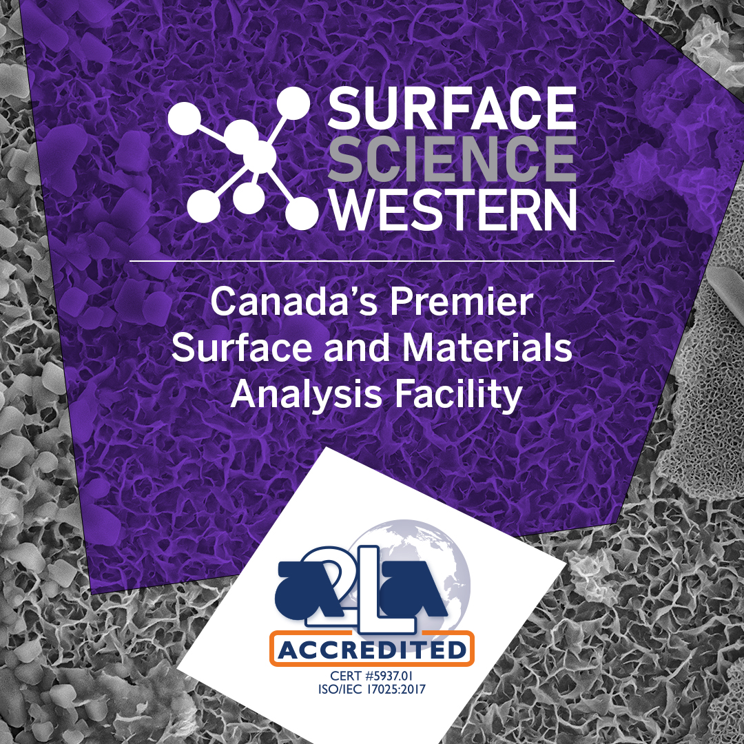 About Us - Surface Science Western