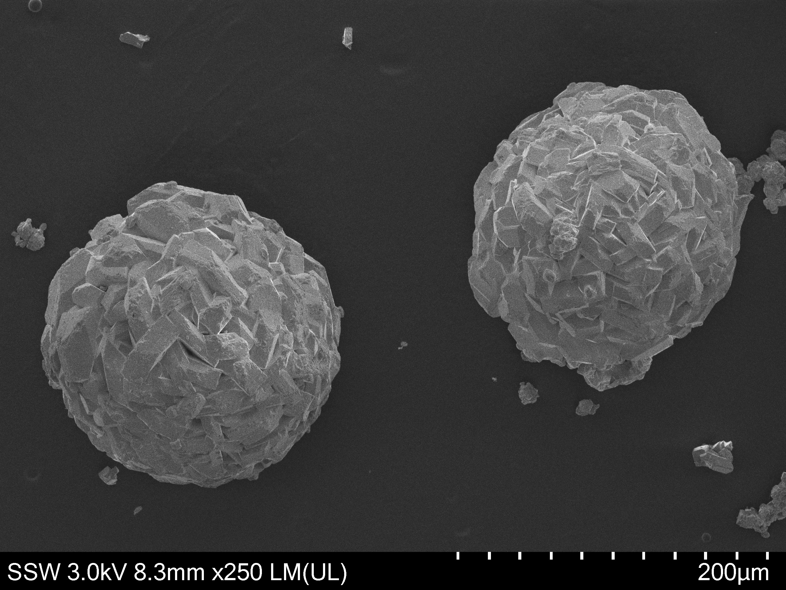 SbSBr_0008 - Surface Science Western