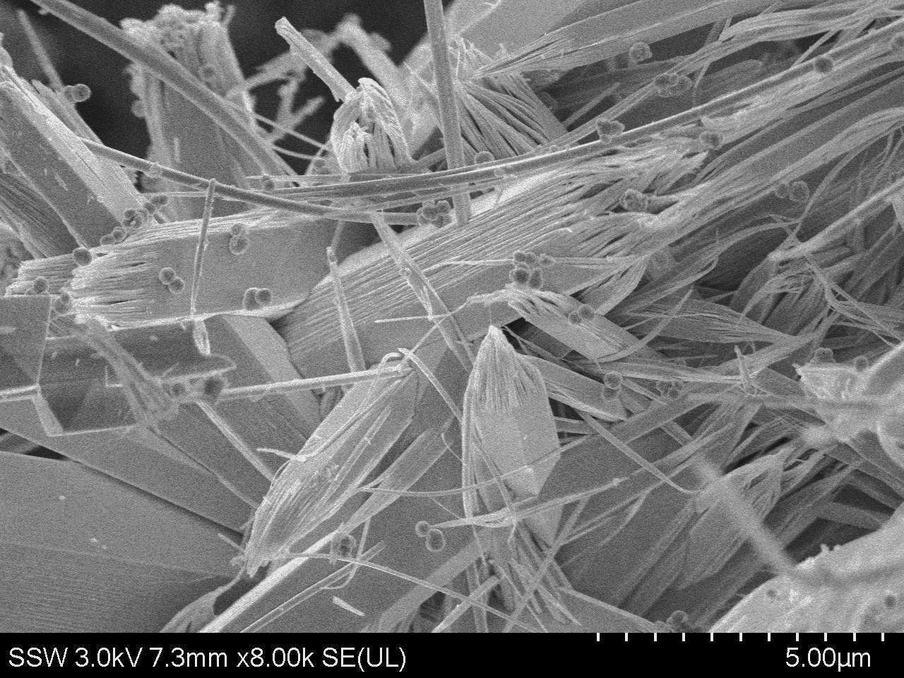 SbSI_0032 - Surface Science Western