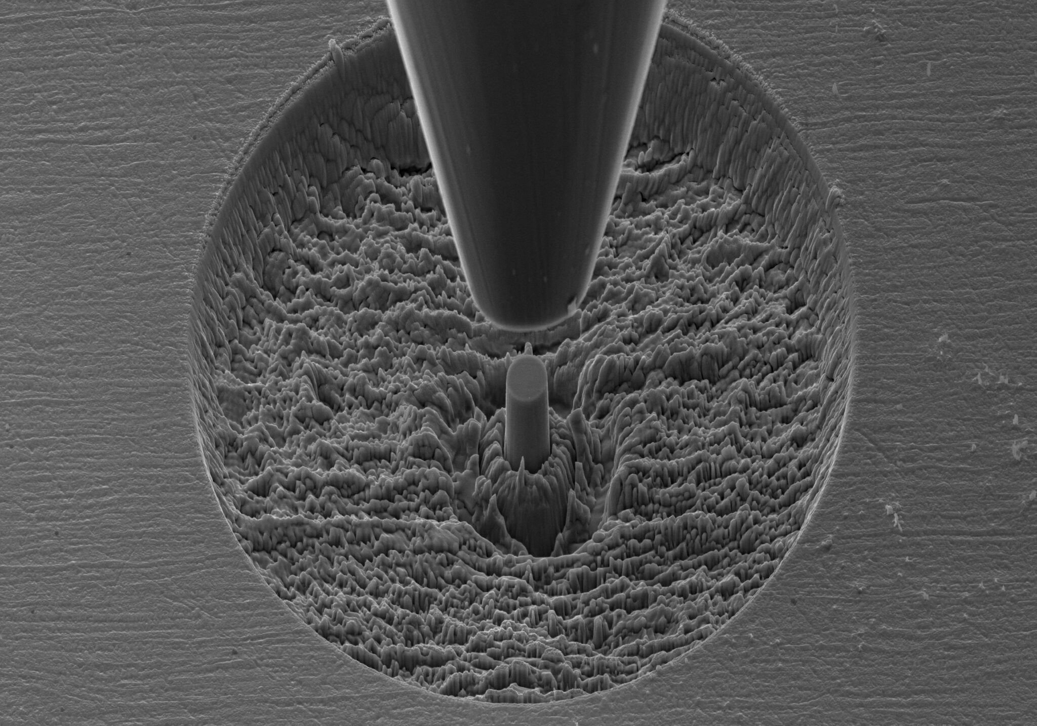 We are using an FE-SEM equipped with an in-chamber nano-indentor to ...