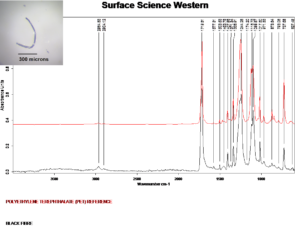 figure-001b-redo - Surface Science Western