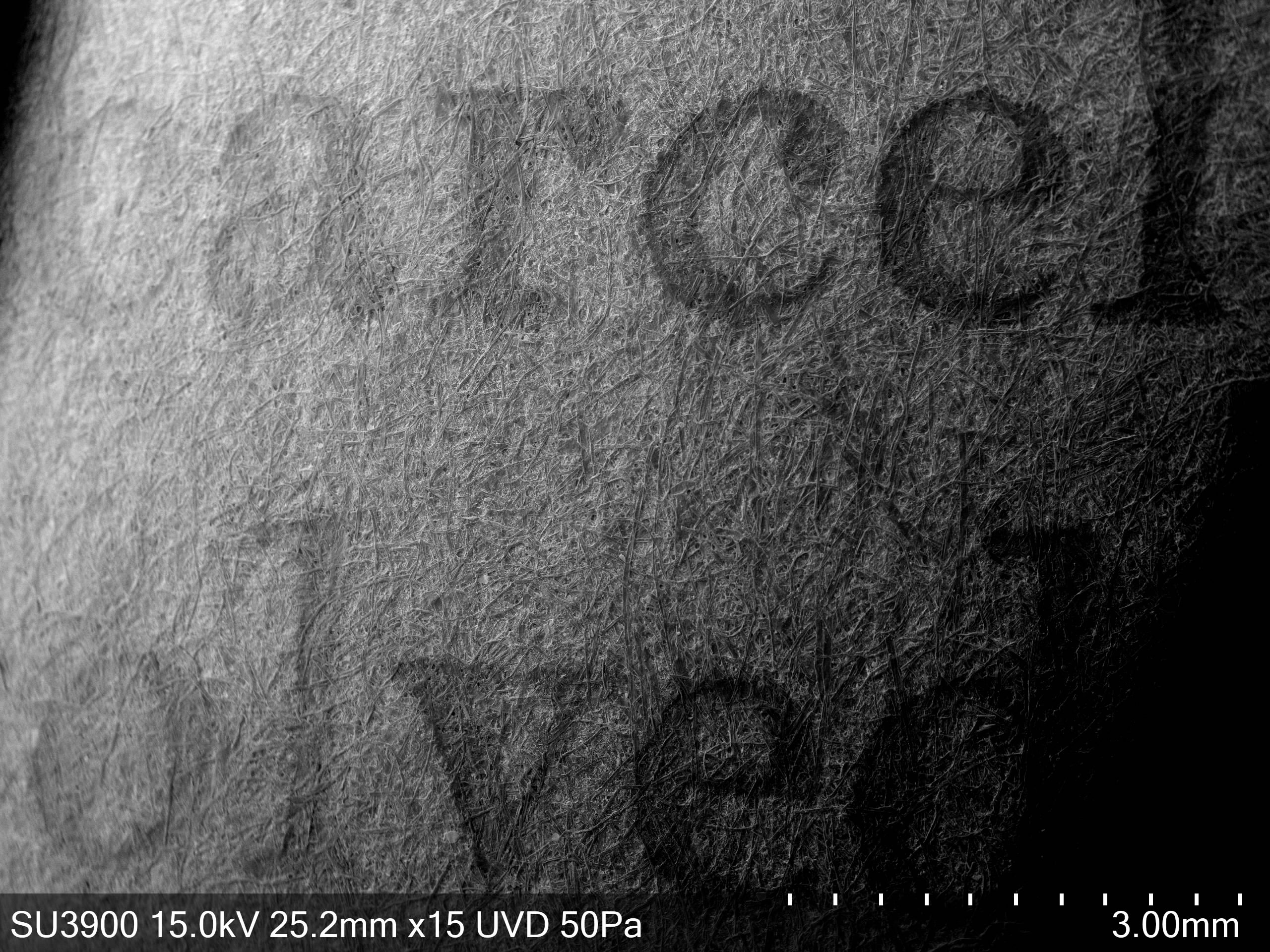 image_0004 - Surface Science Western