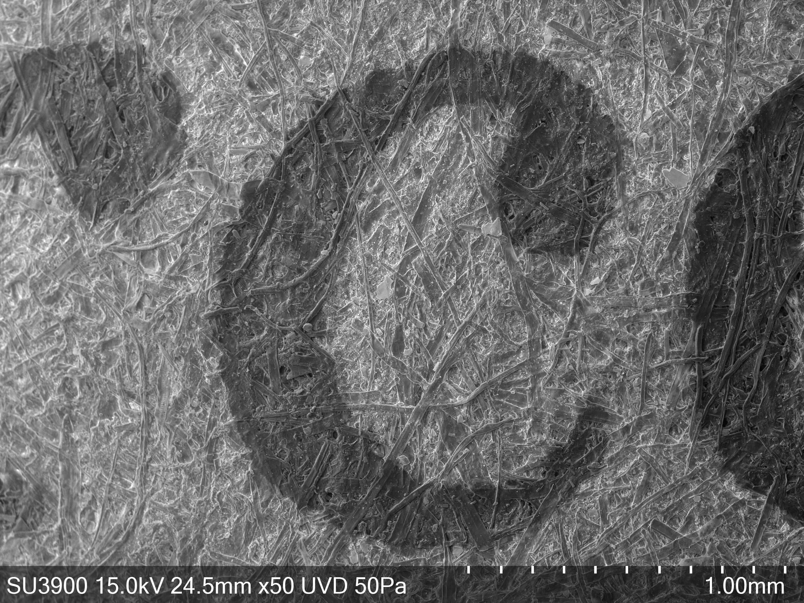 image_0006 - Surface Science Western