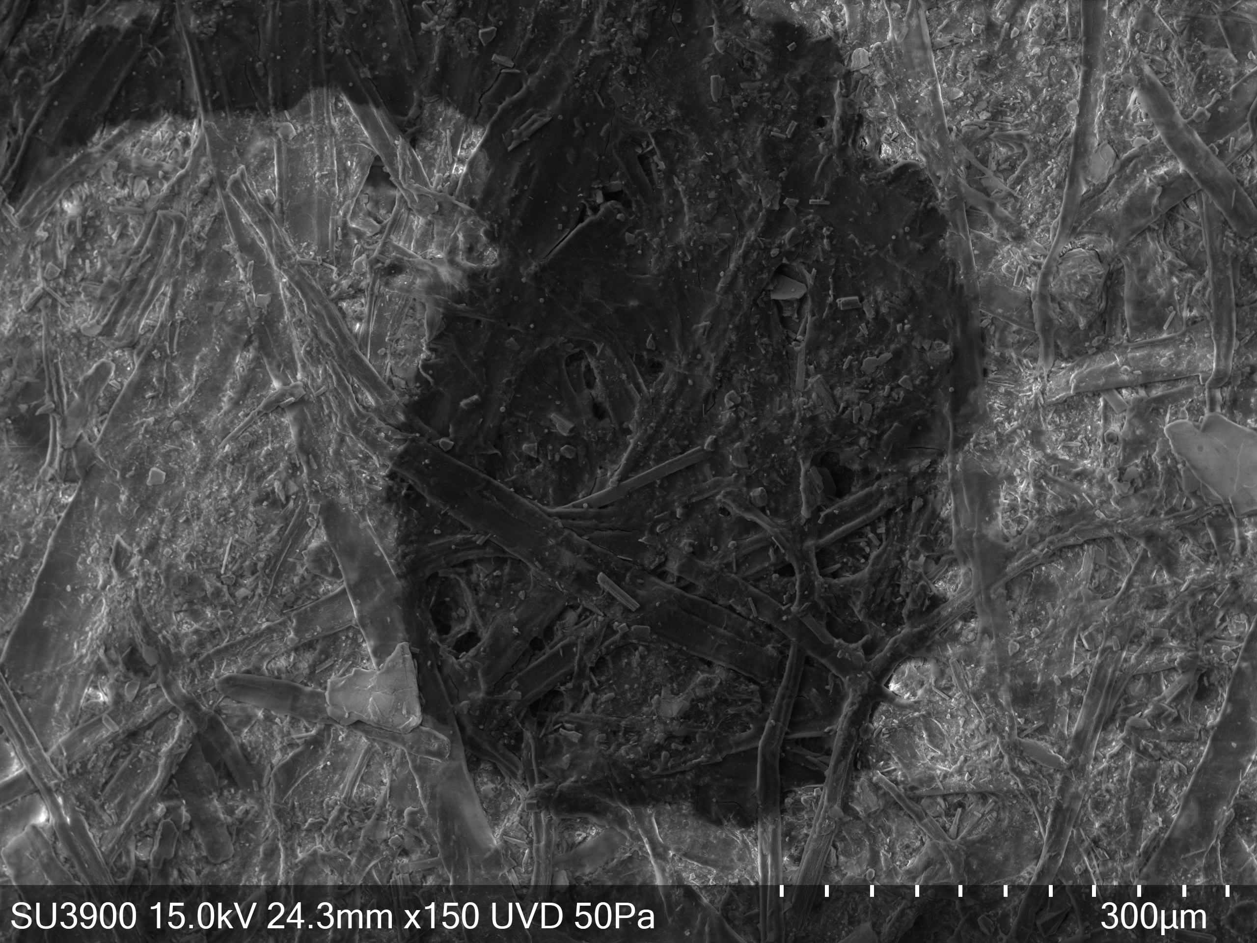 image_0007 - Surface Science Western