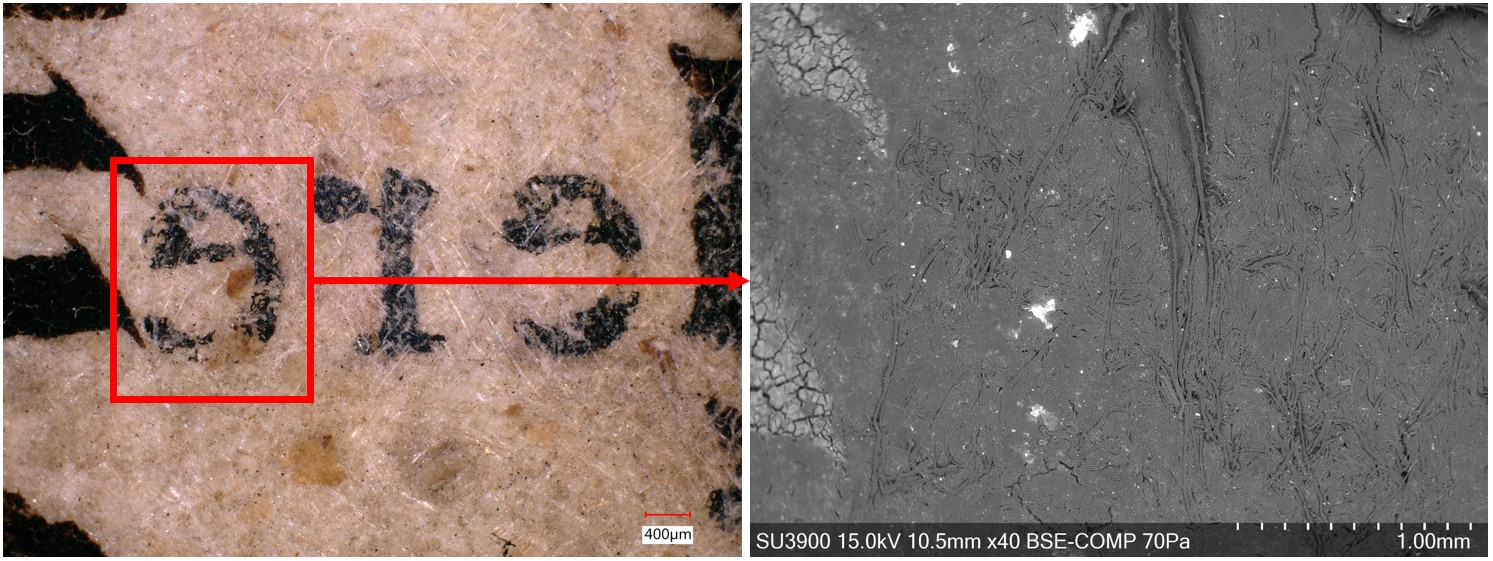 Susanna’s Secret – A 12th Century German Palimpsest?