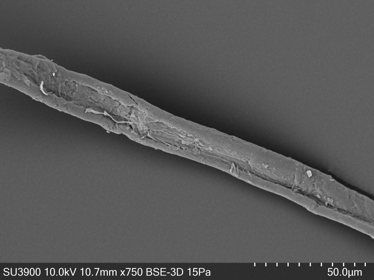 Publication Highlight: Unravelling the Mysteries of Laundry ...